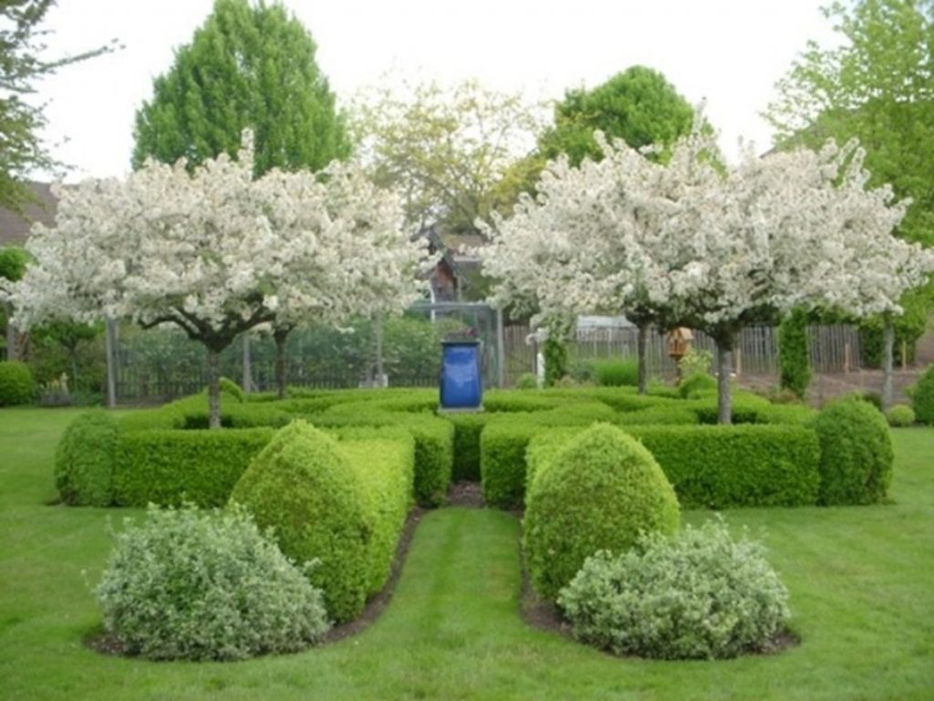 21 of The Best Landscape Hedge Ideas: #15 is Our Favorite! - The ...
